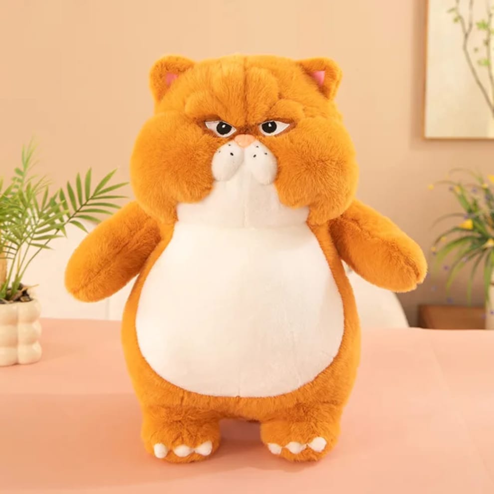 Angry Fat cat - 45cm – Cuddly Bubbly